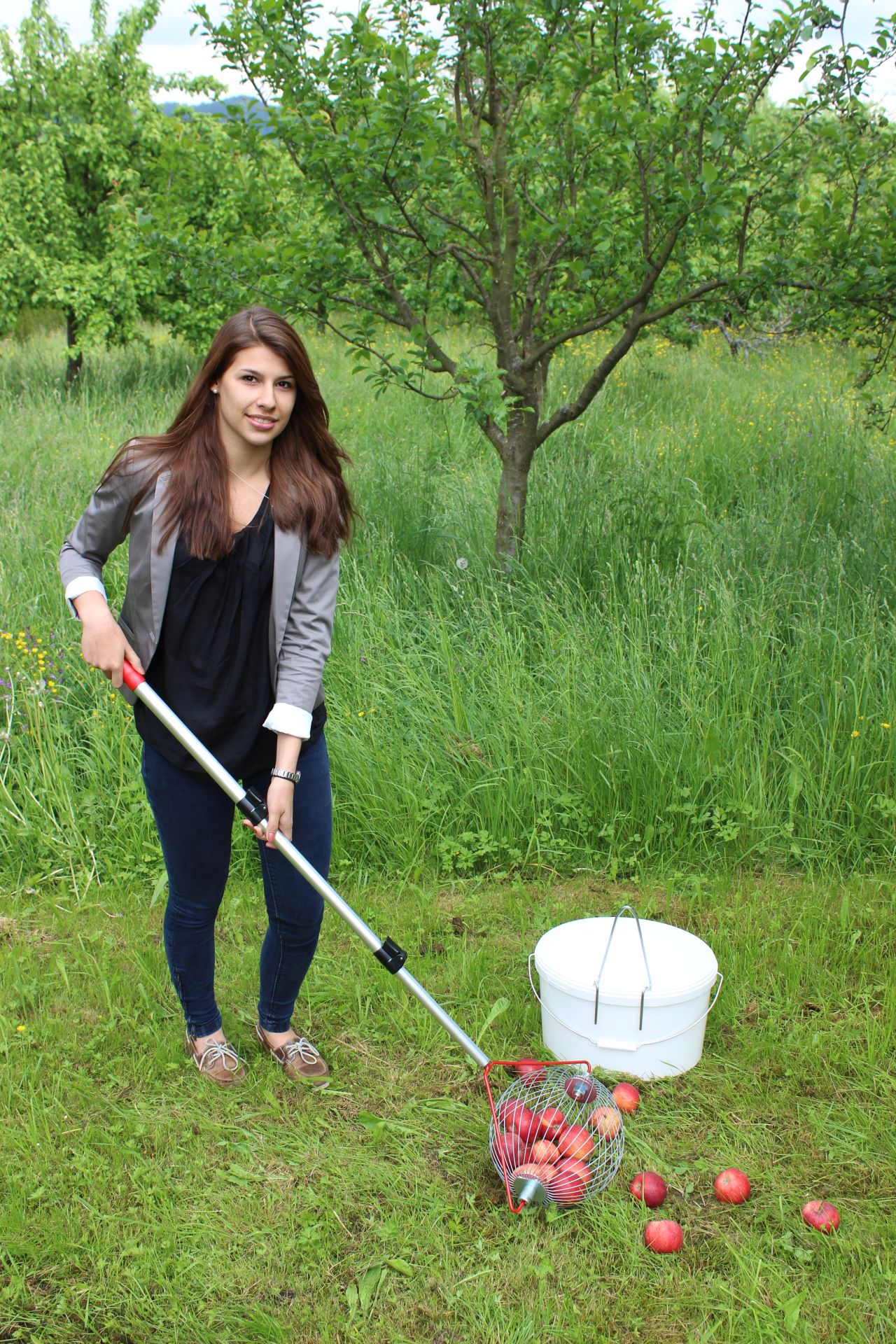 Rollblitz Apfel Teleskopstab | Teleskopstab | 7170023